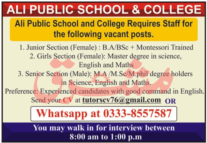 Latest Paperpk Jobs in Ali Public School & College