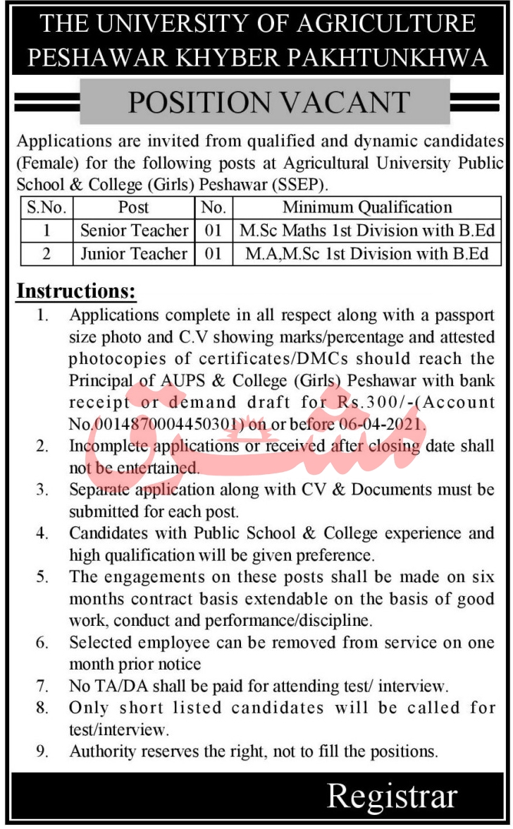 Latest PaperPk Jobs in The University of Agriculture