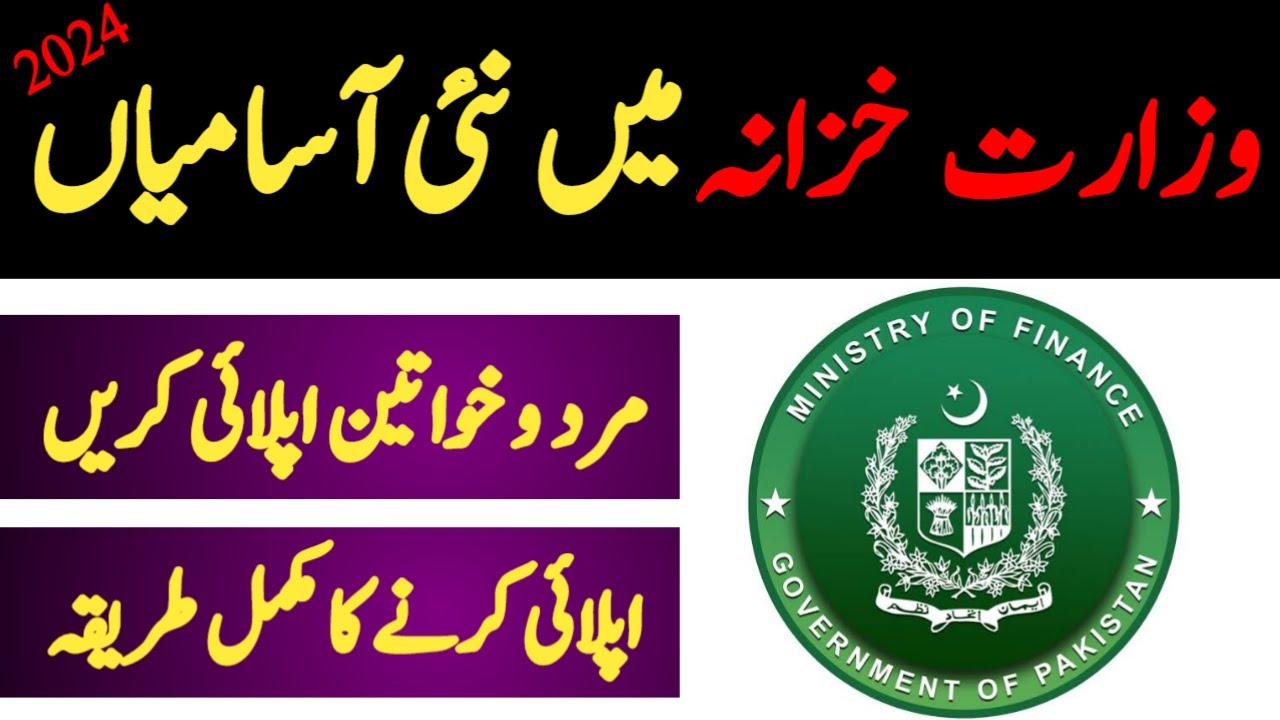 Government of Pakistan Finance Division Jobs 2024